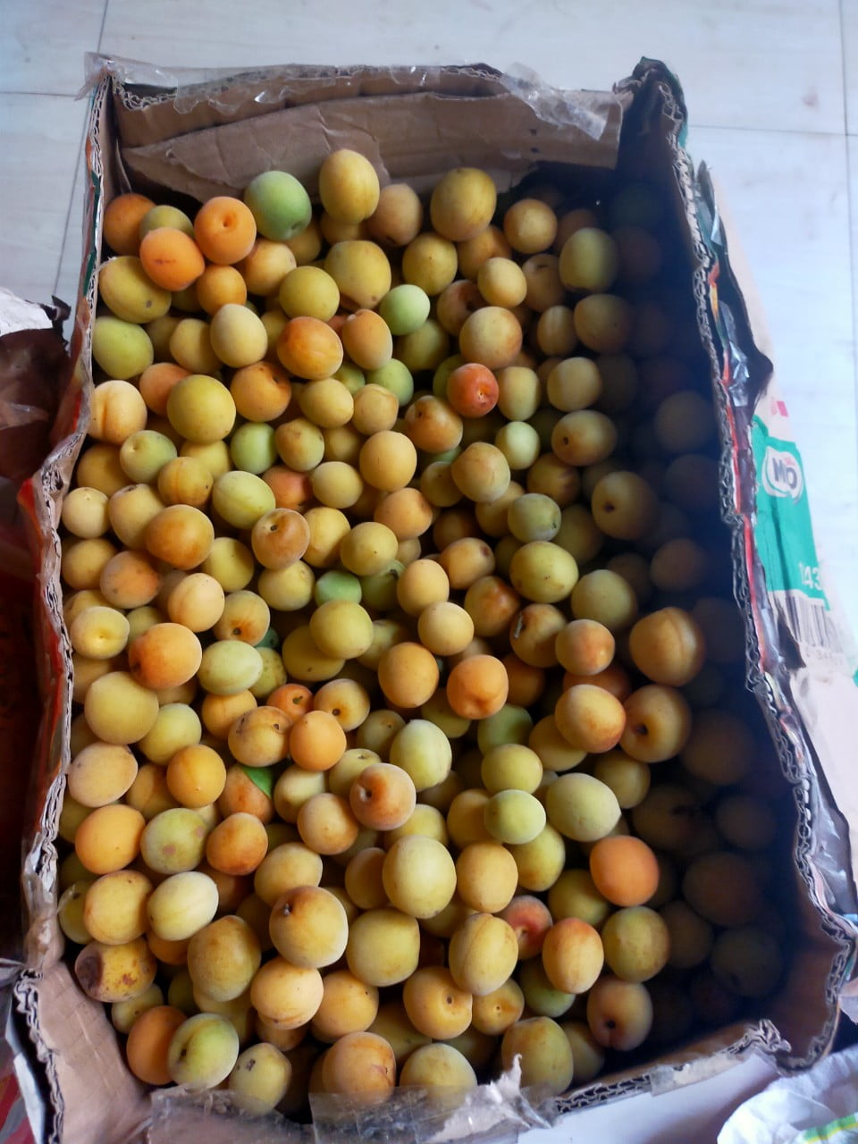 Cách ngâm rượu mơ truyền thống - Nếp Cẩm Mộc